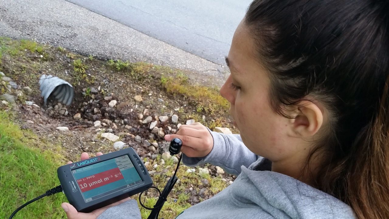 Investigating Climate Change and Maple with Vernier - Vernier