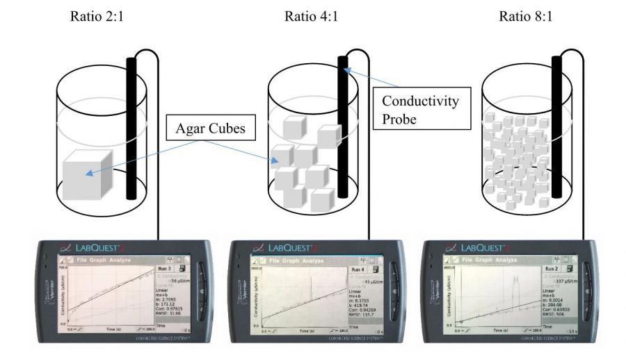 Vernier Technology Makes a Difference: Building Visual and Digital ...