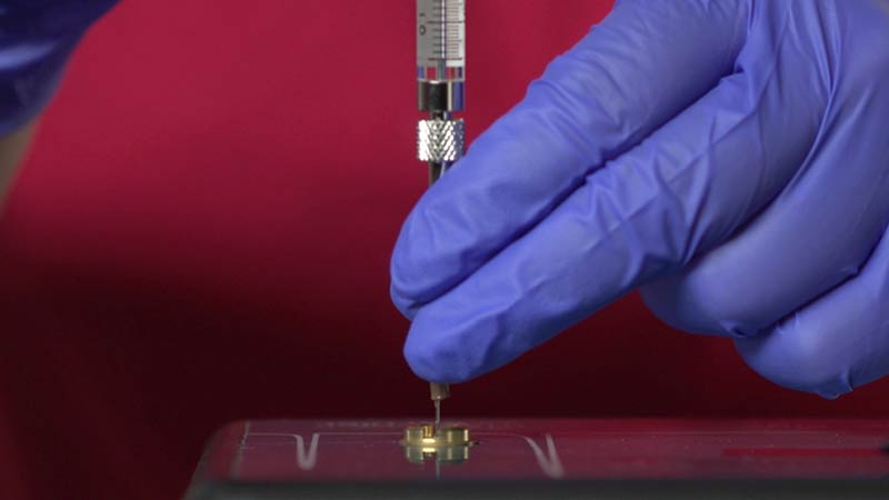 Vernier Mini GC Plus - Collecting and Analyzing a Chromatogram