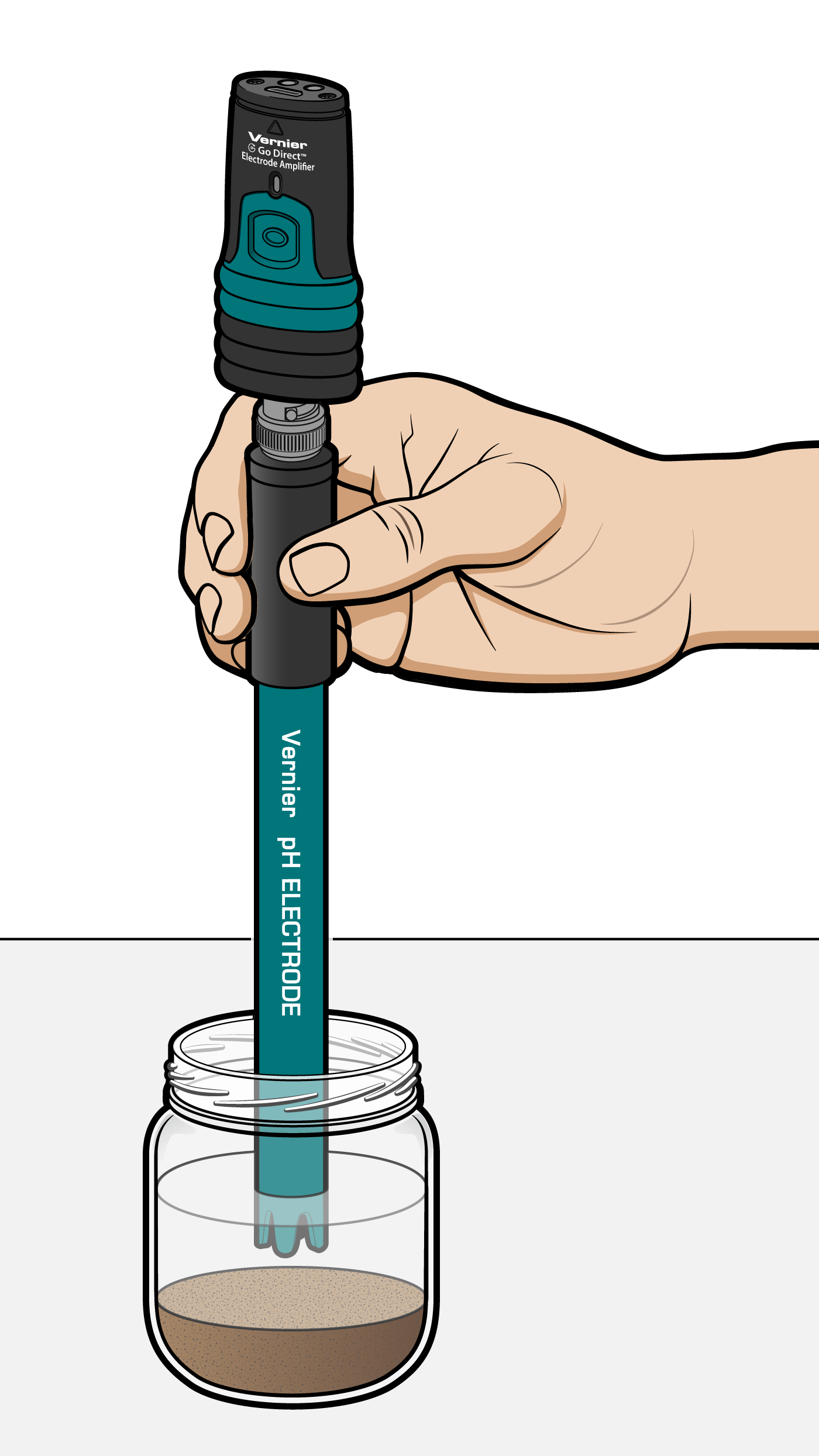 Soil Study > Experiment 2 from Exploring Earth and Space Science