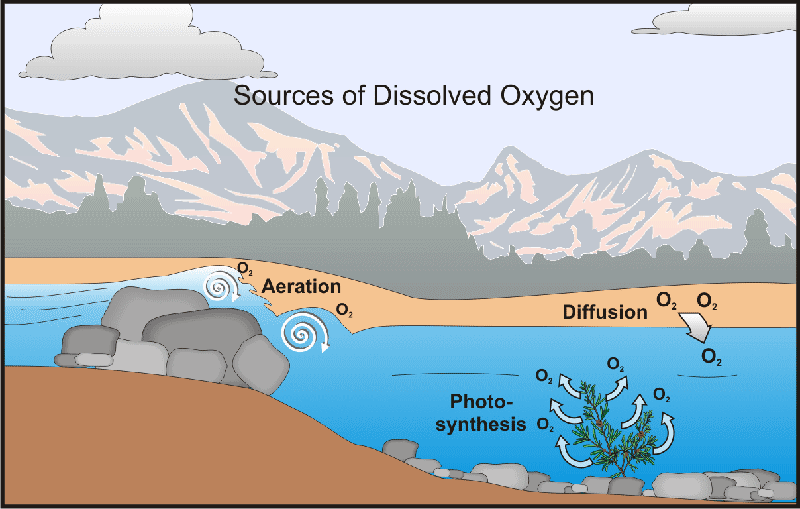 Biochemical Oxygen Demand > Experiment 20 from Agricultural Science ...