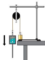 Pulleys > Experiment 31 from Middle School Science with Vernier