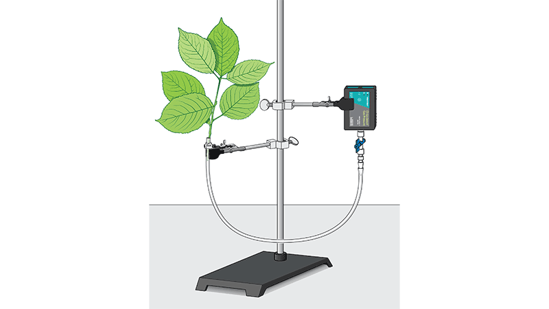 Transpiration > Experiment 13 from Agricultural Science with Vernier