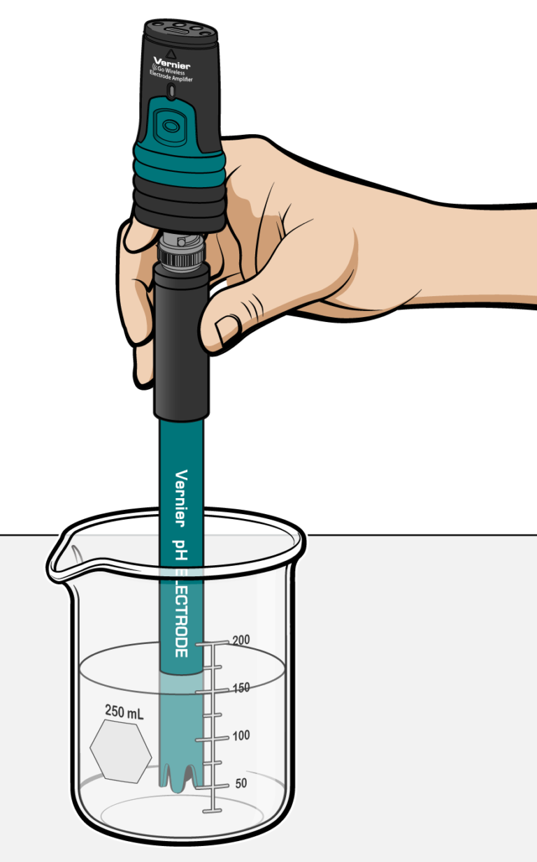 Soil and Acid Rain > Experiment 8 from Earth Science with Vernier
