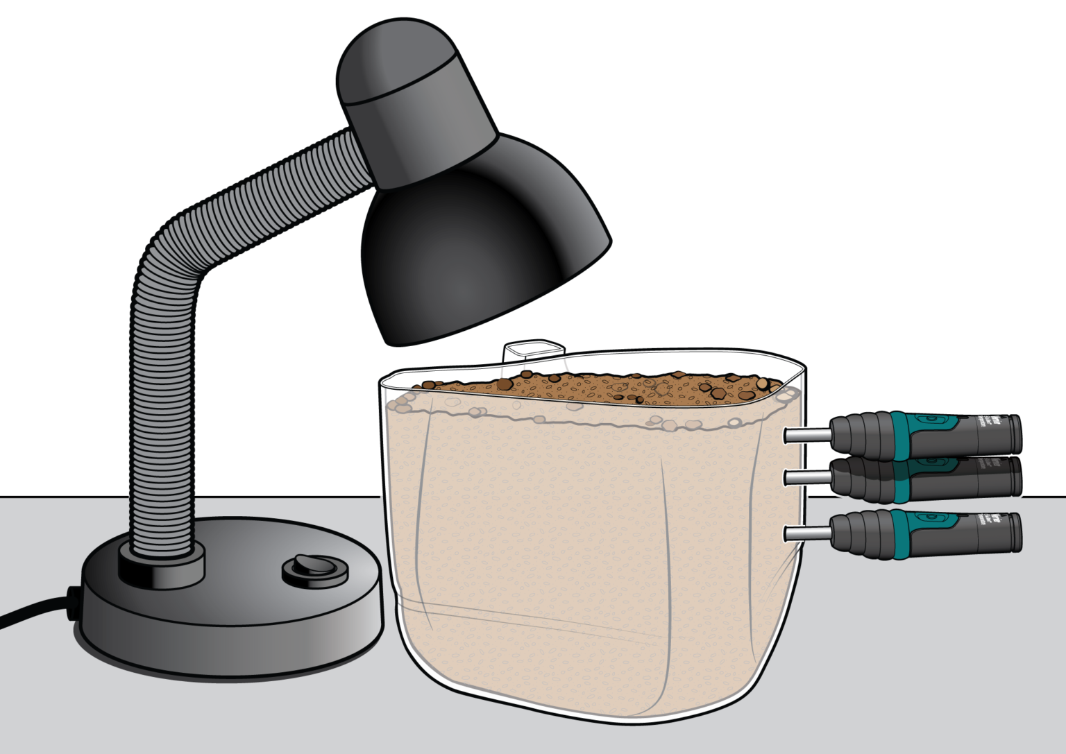 Soil Temperature > Experiment 9 from Earth Science with Vernier