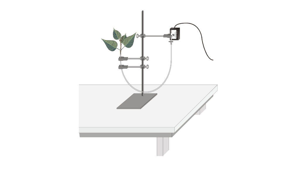 Transpiration > Experiment 13 from Agricultural Science with Vernier