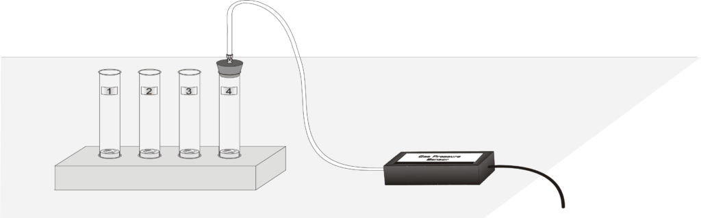 Enzyme Action: Testing Catalase Activity > Experiment 2B from Advanced ...