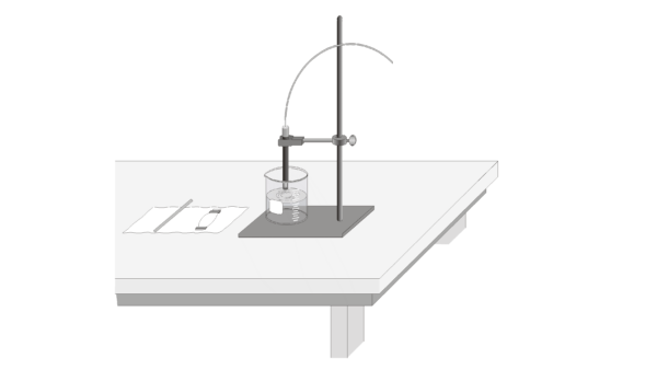 Diffusion > Experiment 2 from Investigating Biology through Inquiry