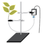 Measurement of transpiration rates using potometers - Vernier