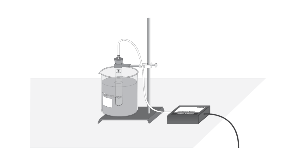 Cell Respiration (Pressure) > Experiment 11C from Biology with Vernier