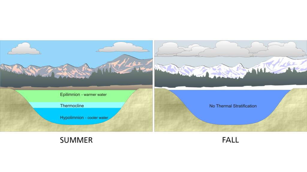 Physical Profile of a Lake > Experiment 21 from Biology with Vernier