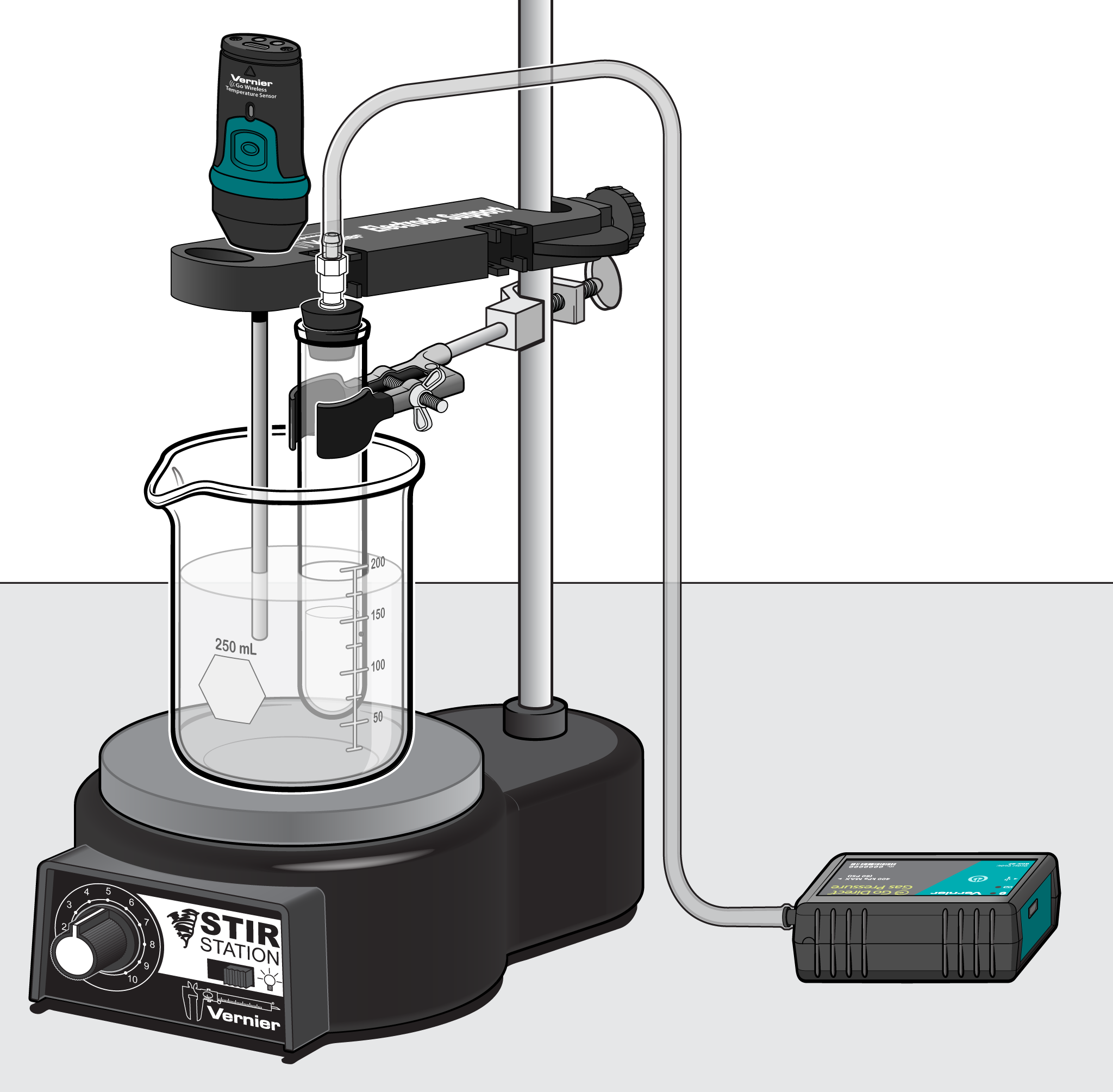 Sugar Fermentation by Yeast > Experiment 24 from Investigating ... Sugar Fermentation by Yeast > Experiment 24 from Investigating ...