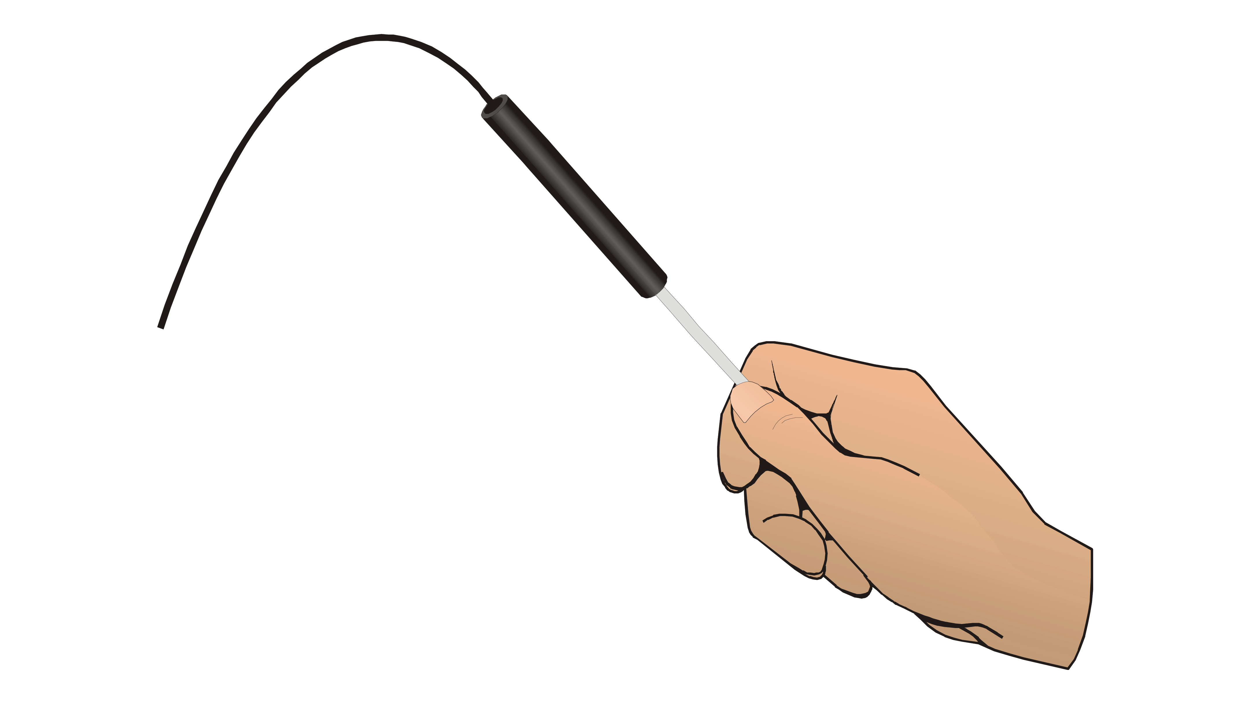 Introduction to Data Collection - Vernier Introduction to Data Collection - Vernier
