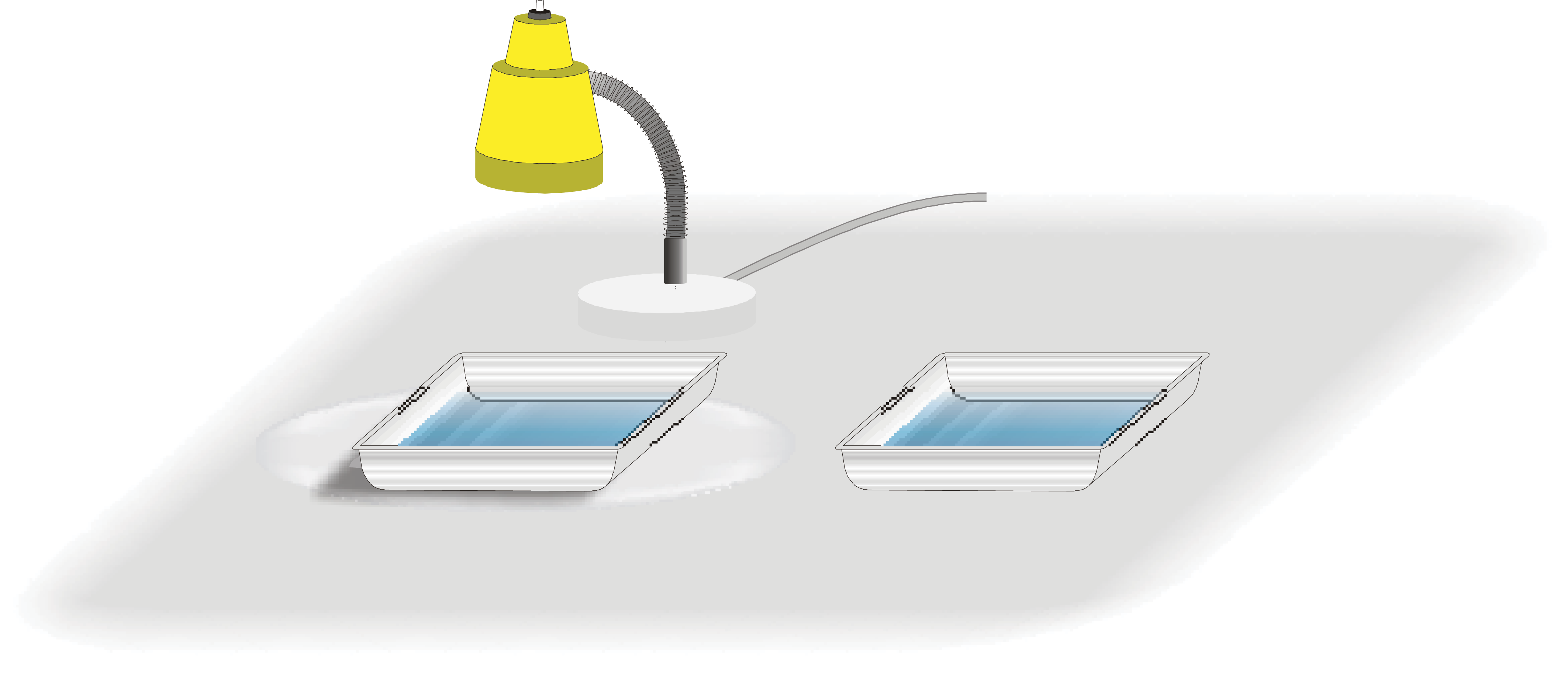 Salinity of Ocean Water - Vernier