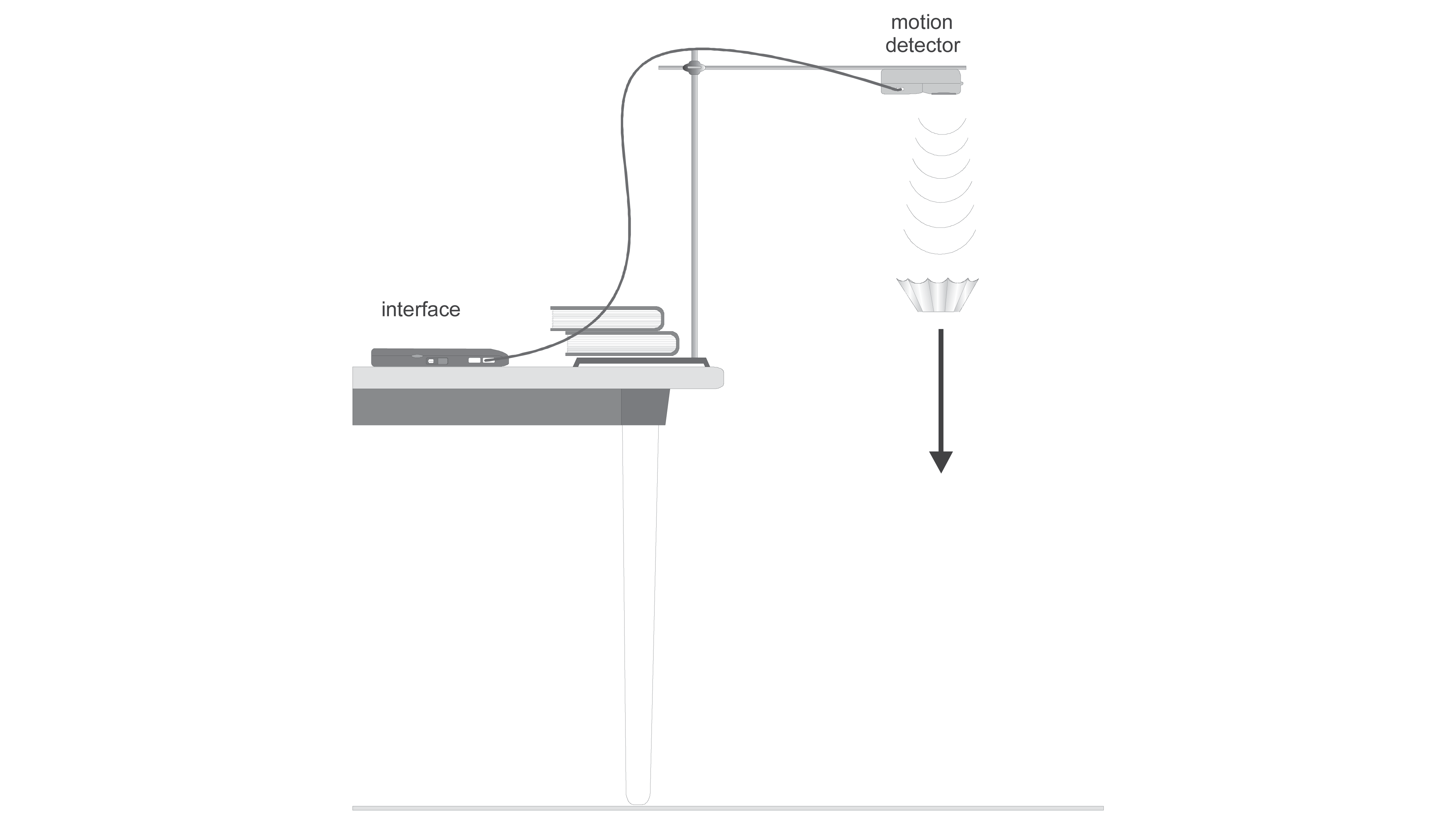 Falling Objects Vernier