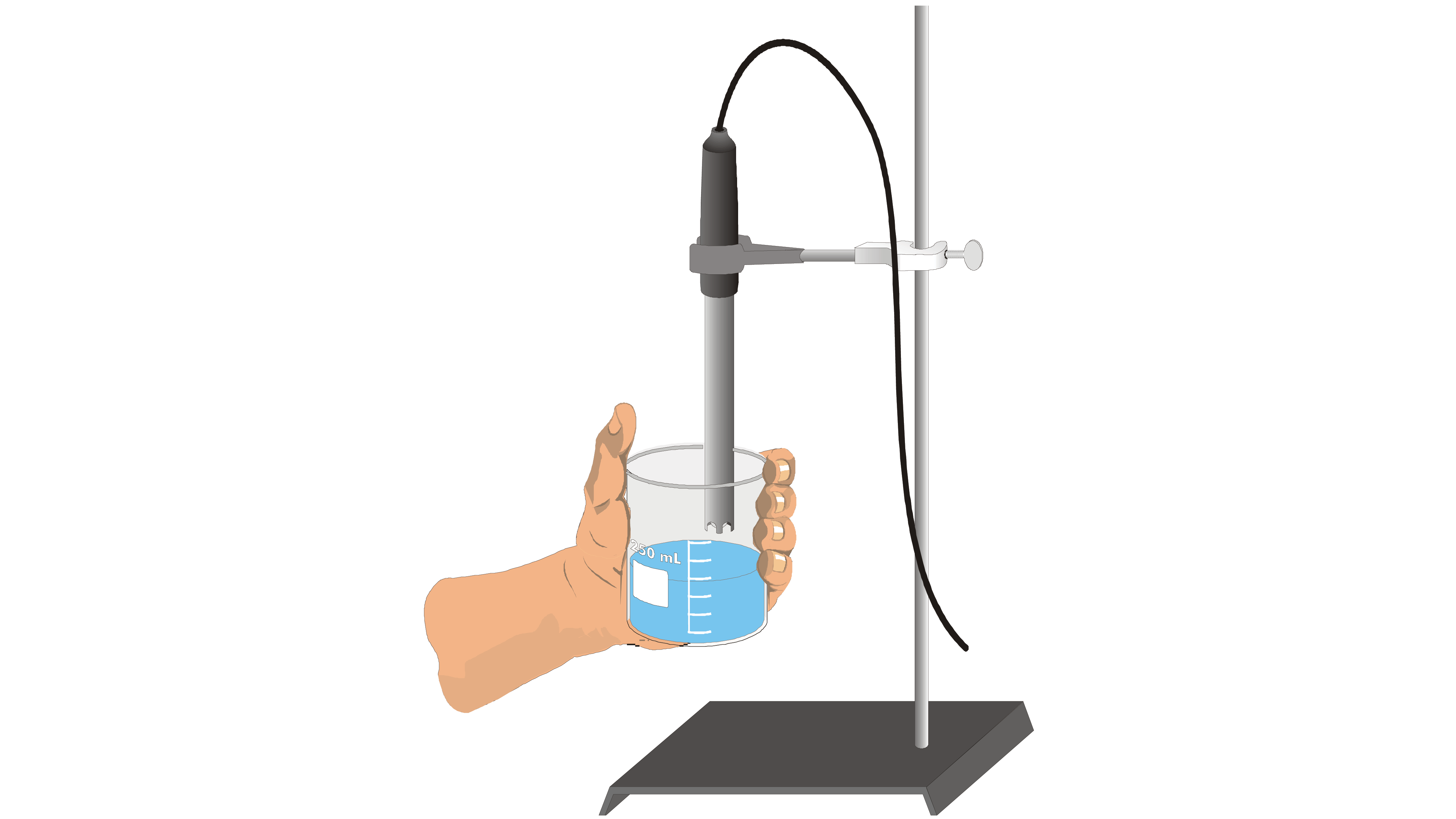 Acid Rain > Experiment 29 from Physical Science with Vernier