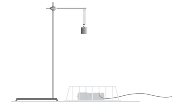 Simple Harmonic Motion > Experiment 15 from Physics with Vernier