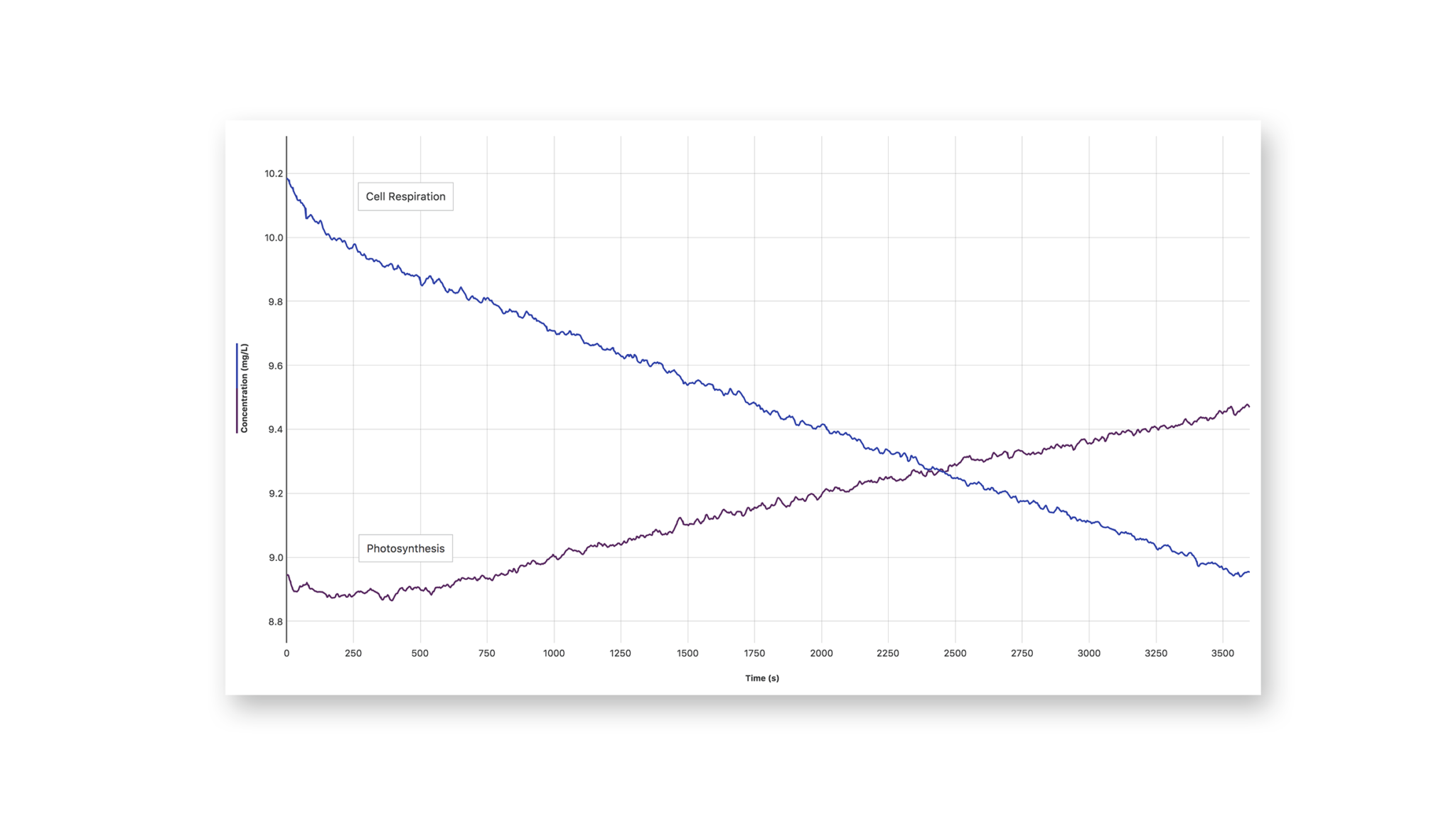 Go Direct® Optical Dissolved Oxygen Probe - Vernier