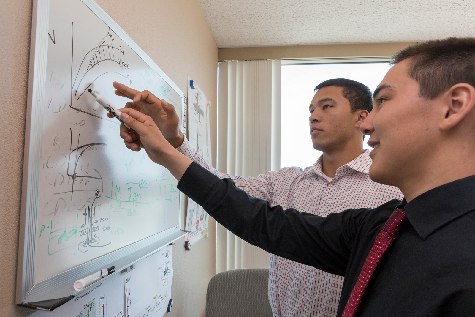 The Alaska Native Science & Engineering Program: Developing Leaders ...
