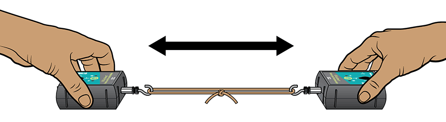 Newton's Third Law > Experiment 5 from Advanced Physics with Vernier ...